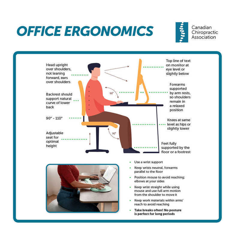Mastering Office Ergonomics: A Guide for a Healthier Work Environment | Back Pain Solutions ...
